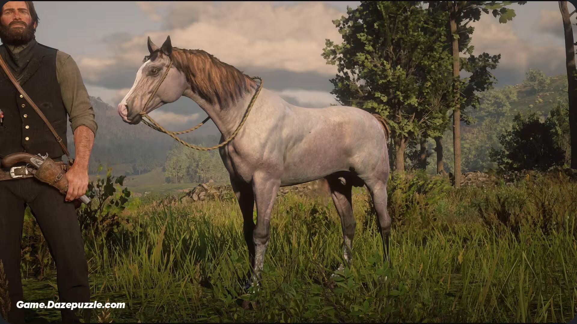 Top 10 Best Horses in RDR2 Story Mode | Top Horses to Ride!