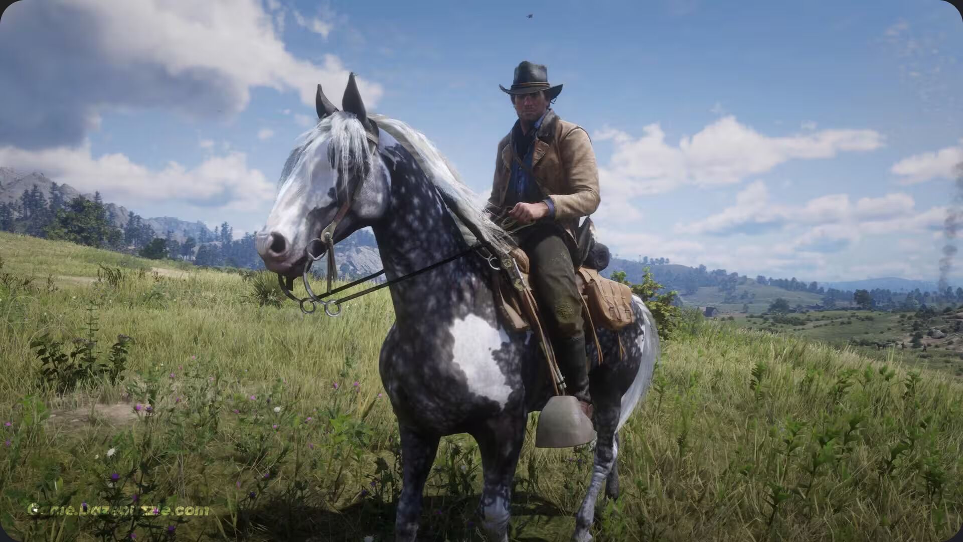 Top 5 Best Horses in RDR2 Story Mode | Locations & Ranking