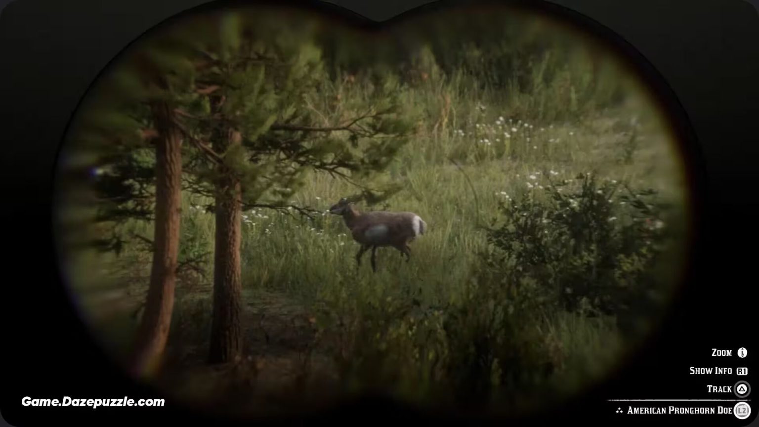 RDR2 Perfect Pelts: How to Get Them Every Time!